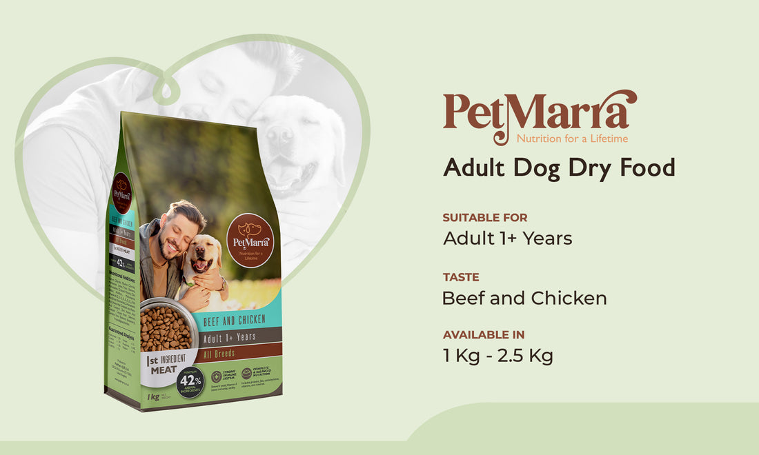 ADULT - BEEF AND CHICKEN 1 -2.5kg – PetMarra