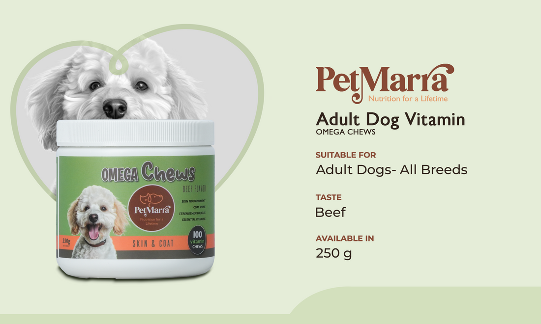 Omega Chews – PetMarra