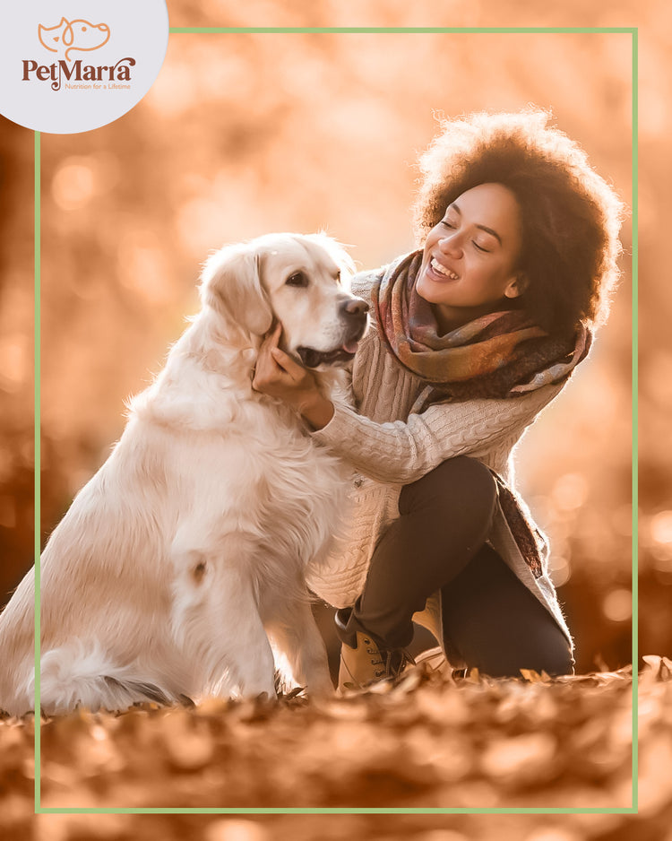 About Us – PetMarra