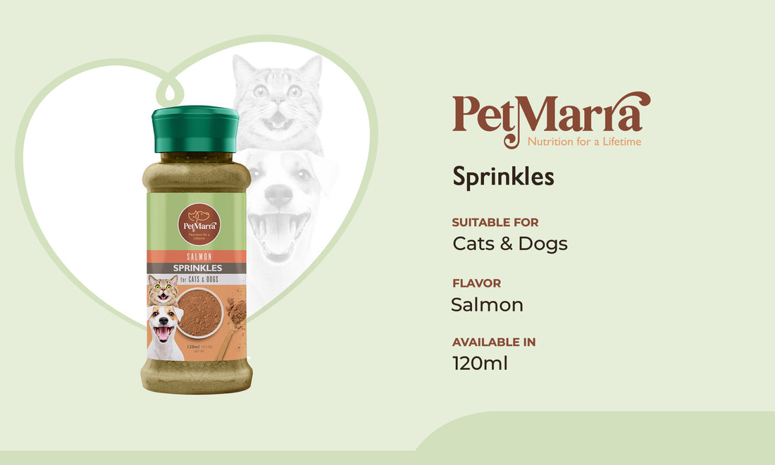 Sprinkles Salmon – PetMarra